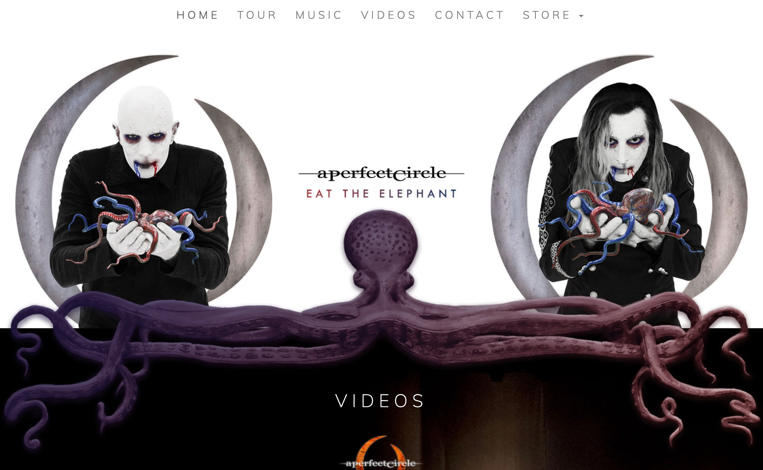 A Perfect Circle | MUSIC WEB CLIPS - バンド・アーティスト・音楽関連のWEBデザイン ギャラリーサイト