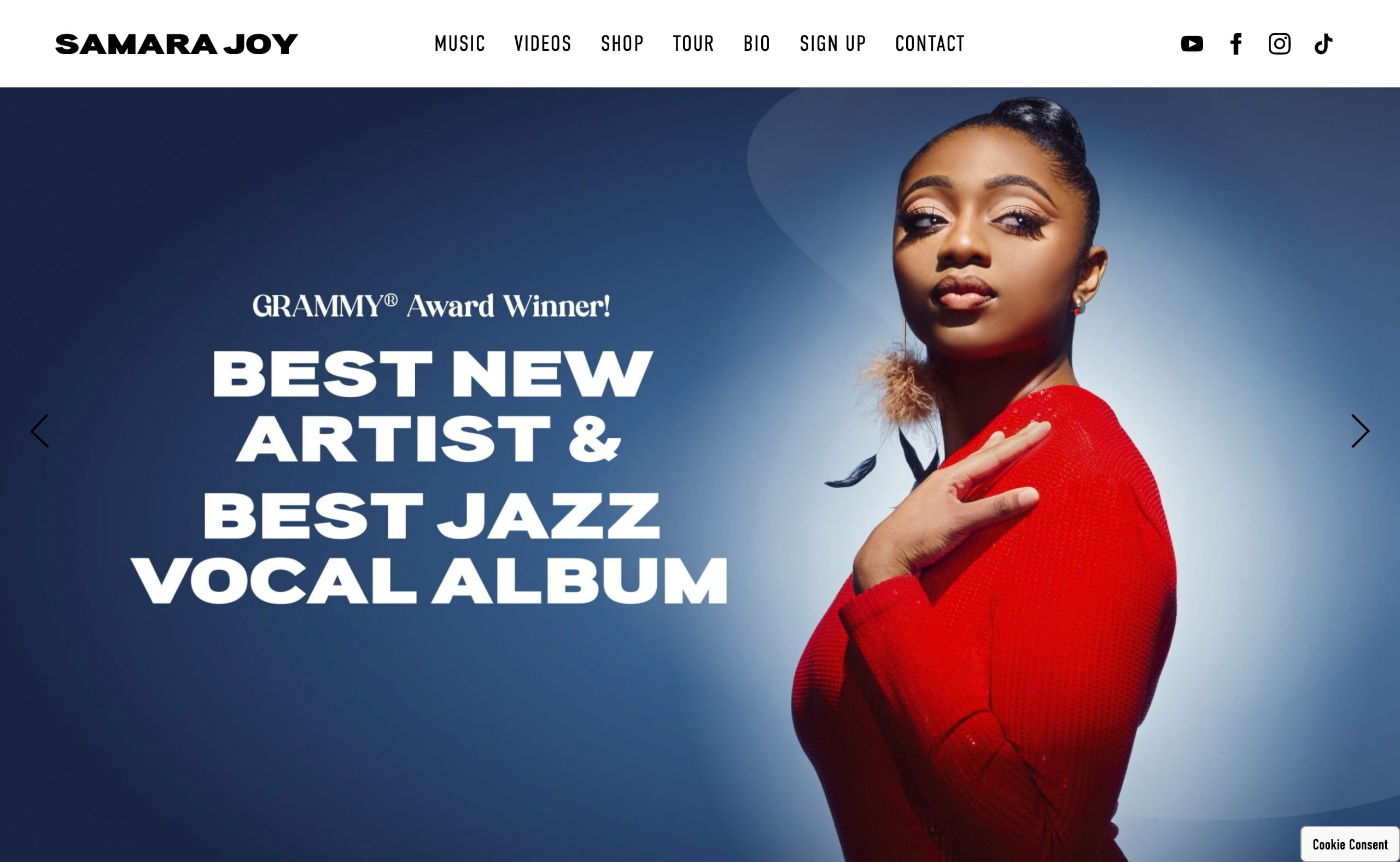 Home – Samara Joy | MUSIC WEB CLIPS - バンド・アーティスト・音楽関連のWEBデザイン ギャラリーサイト